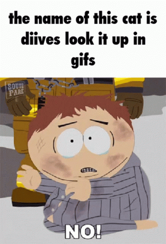 Diives Cat Meme South Park GIF | GIFDB.com