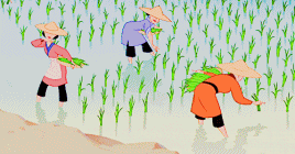 Disney Princess Farm Rice Field GIF | GIFDB.com