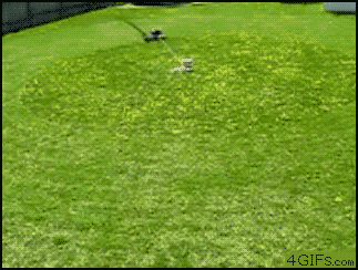 Dog Stuck In Lawn Mower Spiral Loop GIF | GIFDB.com
