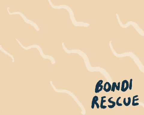 Dope Cartoon Bondi Rescue Animation GIF | GIFDB.com