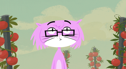 Double Take Cat Kitty Not Cat GIF | GIFDB.com