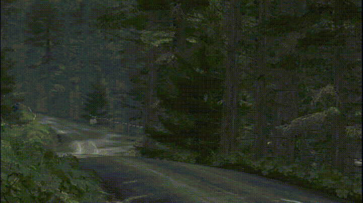 Drift Rally Woods Subaru Smooth Road Driving GIF | GIFDB.com