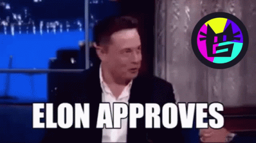 Elon Musk 498 X 280 Gif GIF | GIFDB.com