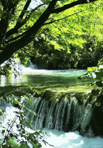Emerald Green Nature GIF | GIFDB.com
