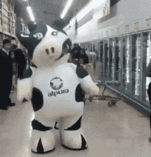 Energetic And Big Cow Mascot Dancing GIF | GIFDB.com