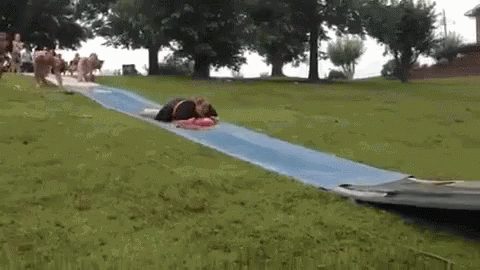 Fail Slip 'n Slide Girl GIF | GIFDB.com