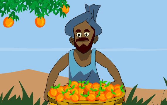 Farmer Harvesting Oranges GIF | GIFDB.com