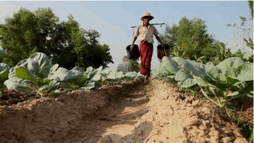 Farmer Watering Technique GIF | GIFDB.com