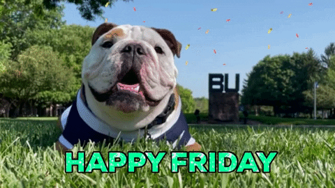 Finally Friday Happy Bulldog Confetti GIF | GIFDB.com