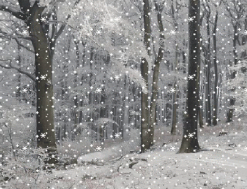 Forest Snow Falling GIF | GIFDB.com
