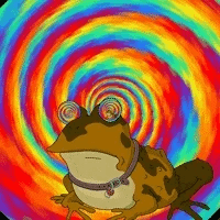 Frog Hypotoad Rainbow Hypnosis Multicolor Eye GIF | GIFDB.com