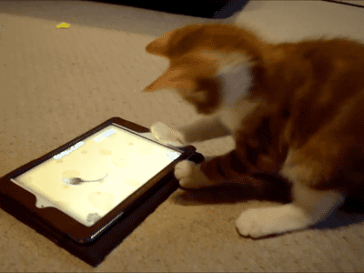Funny Cat Catching Animated Mouse GIF | GIFDB.com