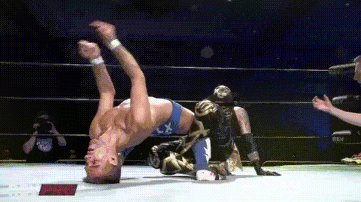 Funny Pro Wrestling Meme GIF | GIFDB.com