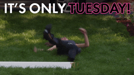 Funny Tuesday Laying On Ground GIF | GIFDB.com