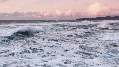 Gentle Wave On Sea Shore GIF | GIFDB.com