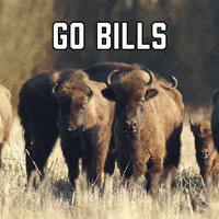 Go Bills Buffalo Line Up GIF | GIFDB.com
