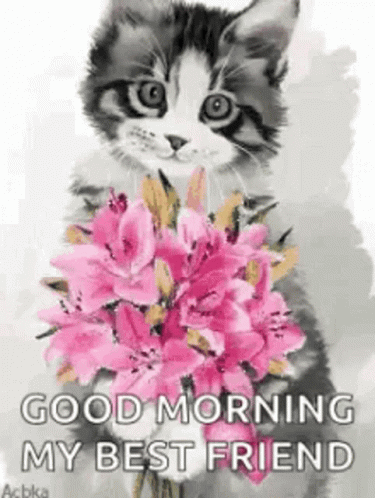 Good Morning Friend Cute Cat With Flowers GIF | GIFDB.com