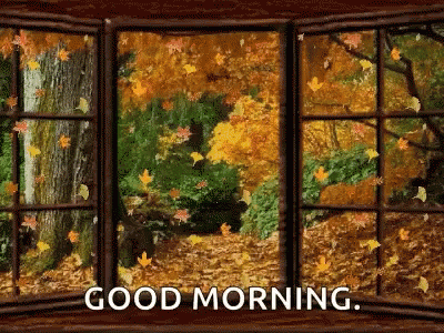 Good Morning Leaves Fall Season Change GIF | GIFDB.com