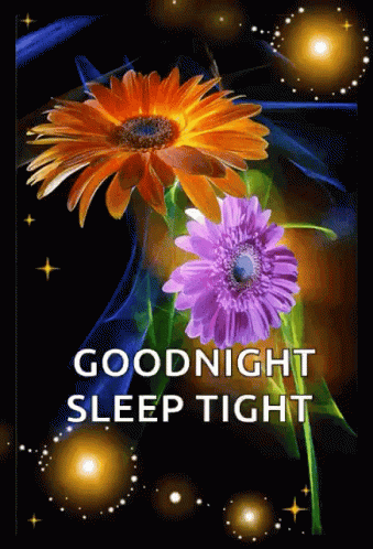 Good Night Sleep Tight Flower Change Color Lights GIF | GIFDB.com