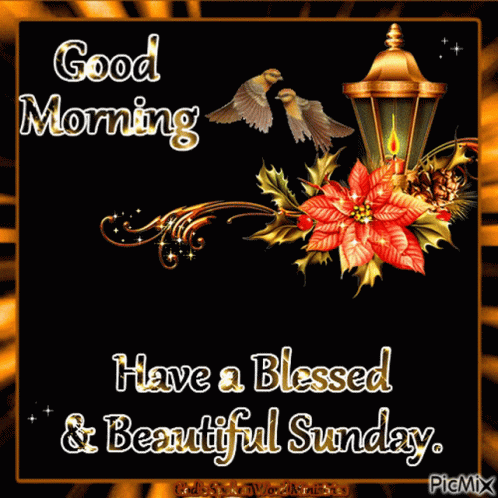 Good Sunday Morning Dazzling Design GIF | GIFDB.com