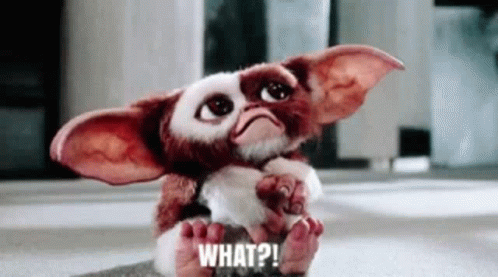 Gremlins Cute What Blink GIF | GIFDB.com