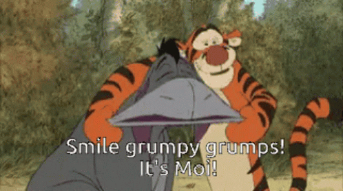 Grumpy 498 X 278 Gif GIF | GIFDB.com