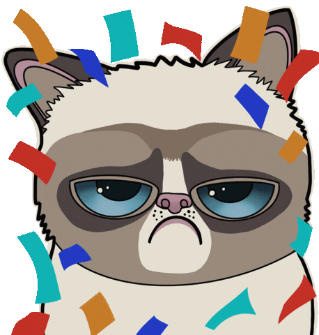 Grumpy Birthday Cat Confetti Surprise GIF | GIFDB.com