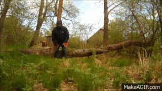 Hahaha Log Break GIF | GIFDB.com
