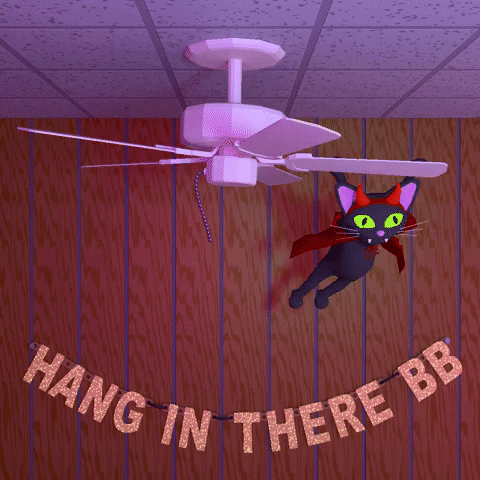 Hang In There Black Cat Animation GIF | GIFDB.com