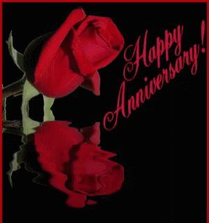 Happy Anniversary Red Rose GIF | GIFDB.com