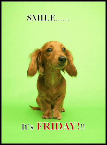 Happy Friday Funny Dog Flapping Ears GIF | GIFDB.com