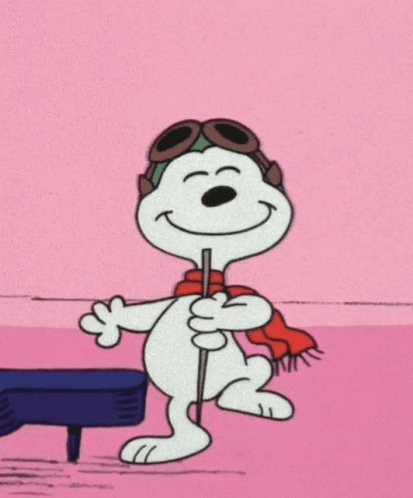 Happy Pilot Snoopy Dance Marching GIF | GIFDB.com