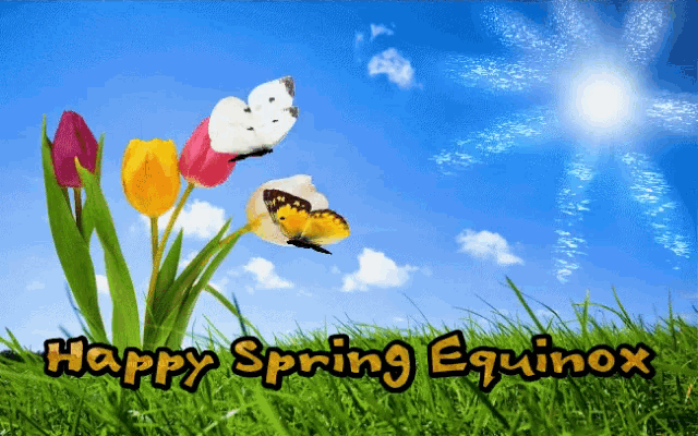 Happy Spring Equinox GIF | GIFDB.com