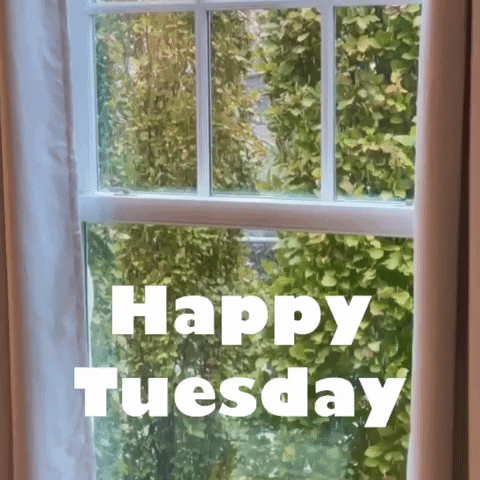 Happy Tuesday Window Rain GIF | GIFDB.com