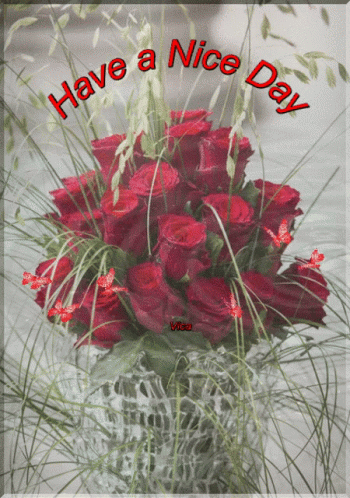 Have A Nice Day Bouquet Of Roses Amazing GIF | GIFDB.com