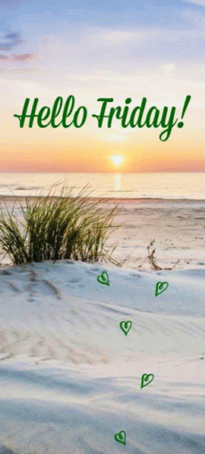 Hello Friday Morning At The Beach GIF | GIFDB.com