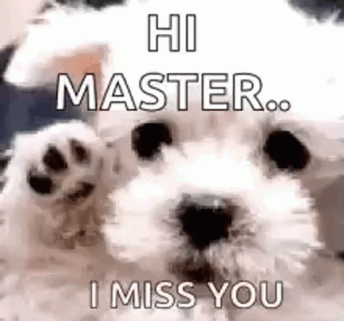 Hi Master I Miss You GIF | GIFDB.com