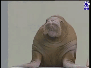 Hmm Very Interesting Tell Me More GIF | GIFDB.com