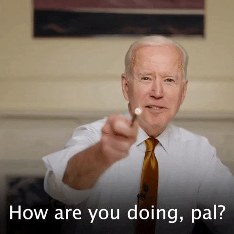 How You Doin Biden GIF | GIFDB.com