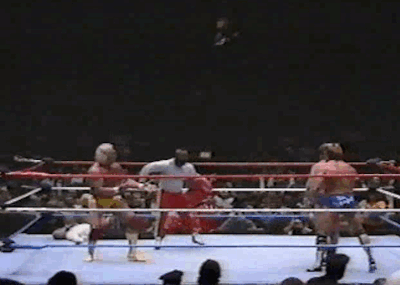 Hulk Hogan Rumble Fight GIF | GIFDB.com