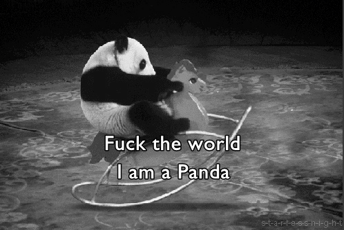 I Am Angry Panda GIF | GIFDB.com
