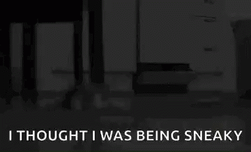 I Thought I Was Being Sneaky GIF | GIFDB.com