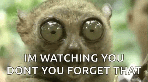 Im Watching You 498 X 277 Gif GIF | GIFDB.com