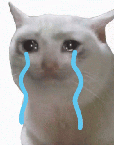In Tears Cat Crying Viral Meme GIF | GIFDB.com