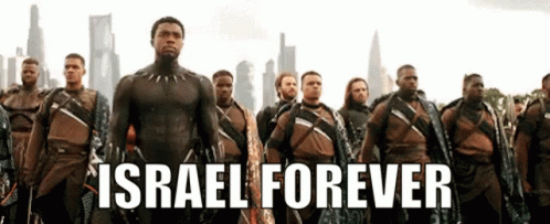 Israel Forever T'challa GIF | GIFDB.com