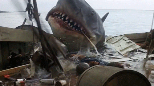 Jaws Shark Attack GIF | GIFDB.com