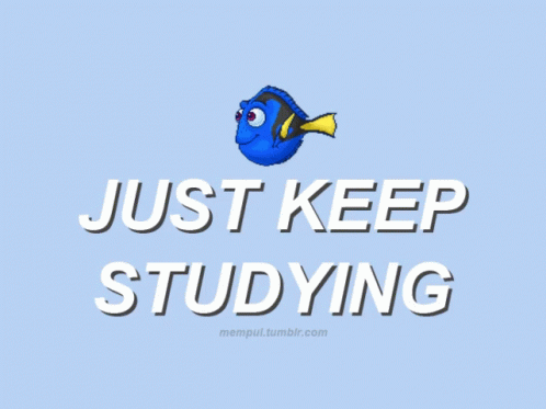 Just Keep Studying GIF | GIFDB.com