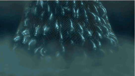 Just Keep Swimming School Fish Net Escape Nemo GIF | GIFDB.com