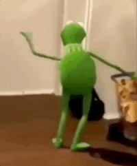 Kermit Slow Dance GIF | GIFDB.com