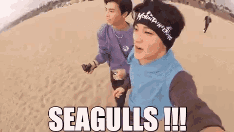 Kpop Nct Member Mark Lee Chasing Seagull GIF | GIFDB.com